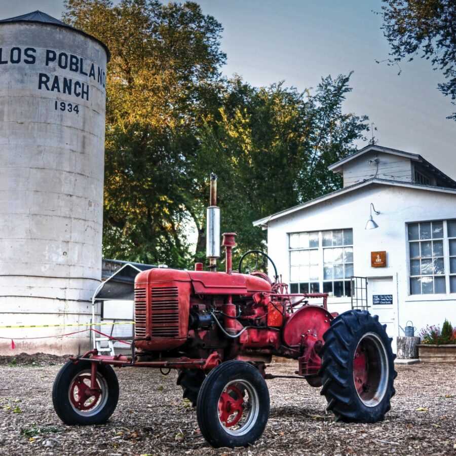 Sustainable Farming In The Amazon Rainforest | Responsible Tourism