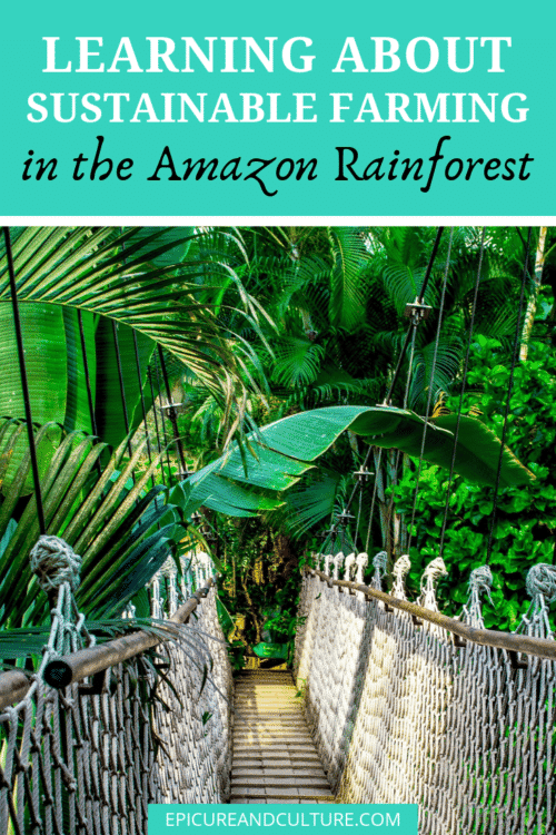 Sustainable Farming In The Amazon Rainforest | Responsible Tourism