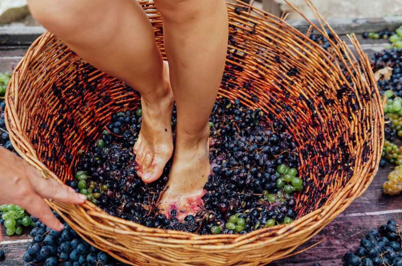 Grape-stomping-Depositphotos - Epicure & Culture