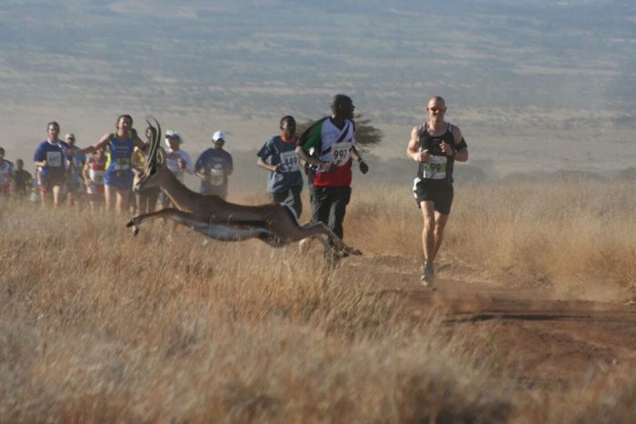 10 Ethical Wildlife Vacations For Animal Lovers