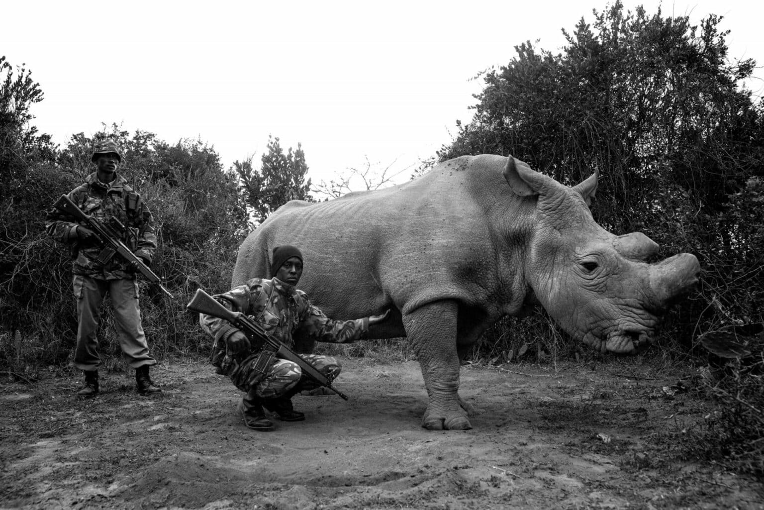 The Incredible Story Of Kenya's Rhino Guardians