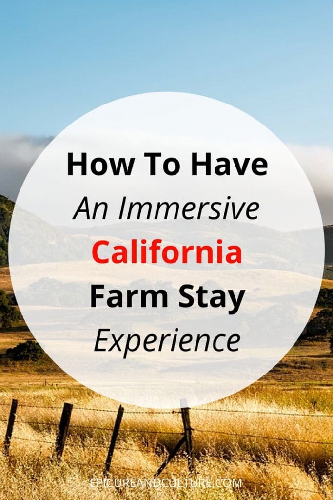 How To Have An Immersive California Farm Stay Experience