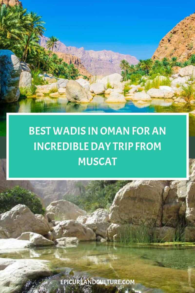 Best Wadis In Oman For An Incredible Day Trip From Muscat