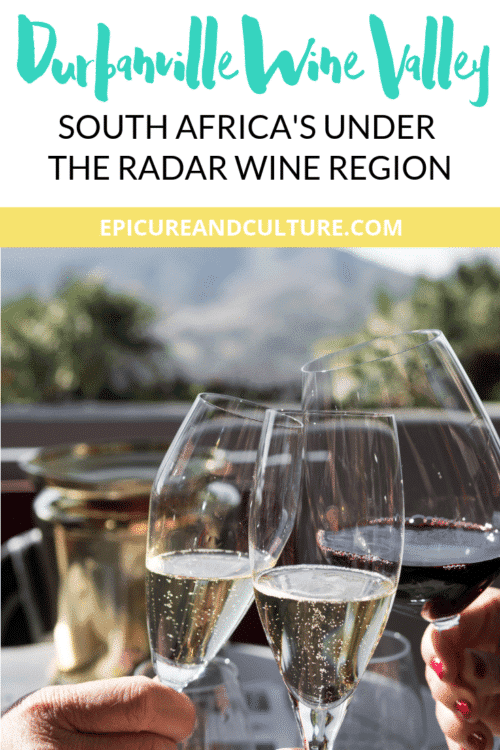 Durbanville Wine Valley | South Africa Wine Region Guide