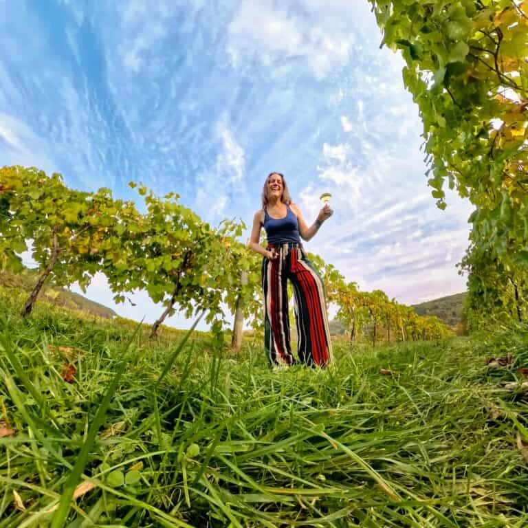 Nova Scotia Wine Country: Wolfville & Grand Pré (Ultimate Guide!)