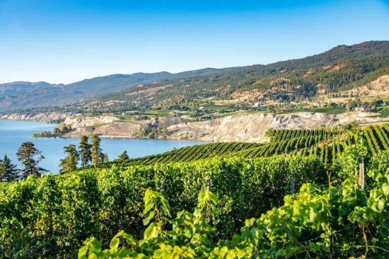 Okanagan Valley Wine Country: Ultimate Guide (With Map!)